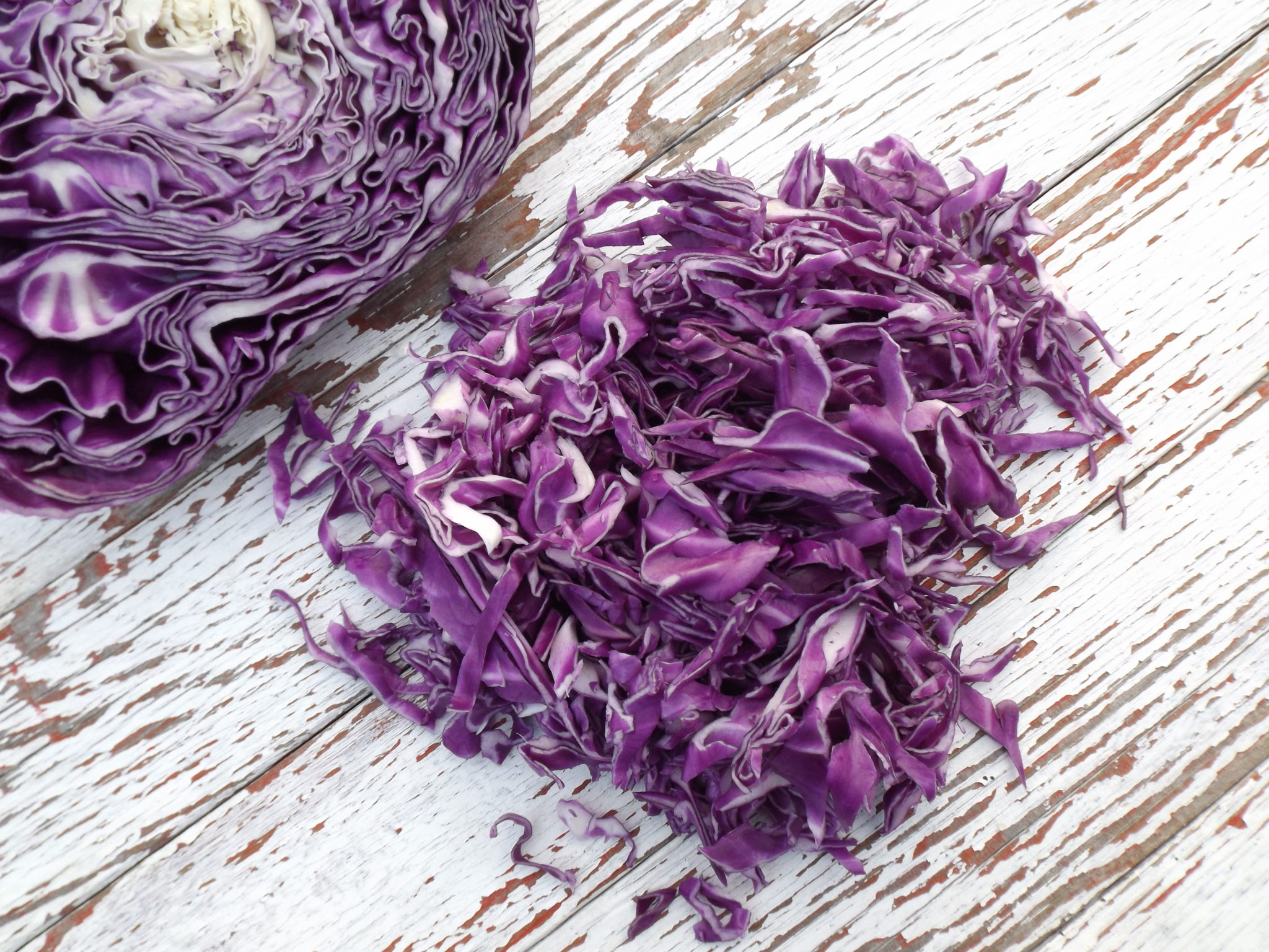 Snoboy Knows - Red Cabbage